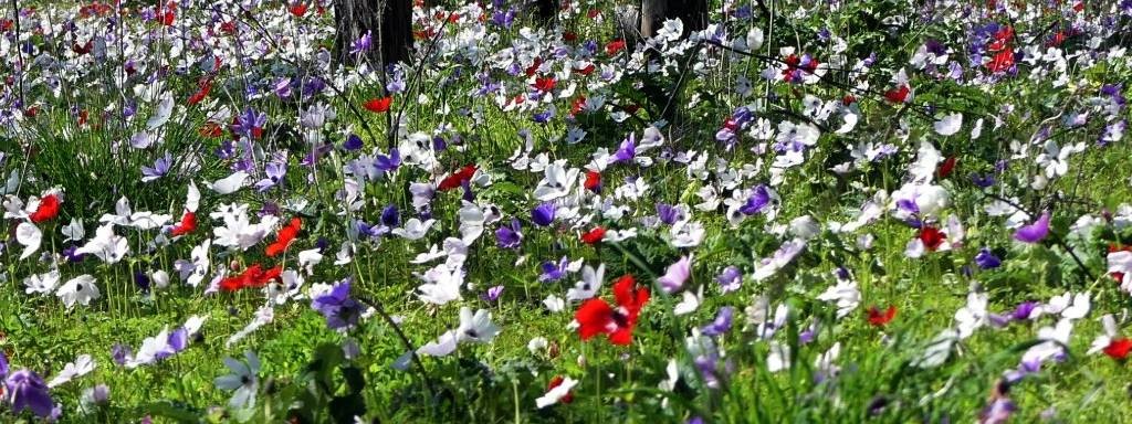 Секреты воспитания с Анной Ильиничной