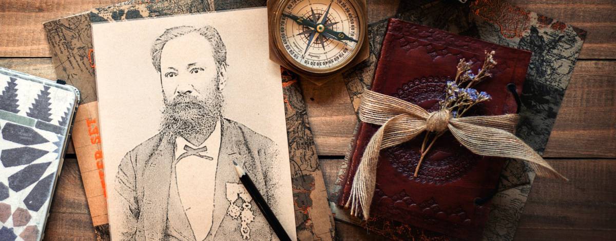 Тайная жизнь библиотекаря