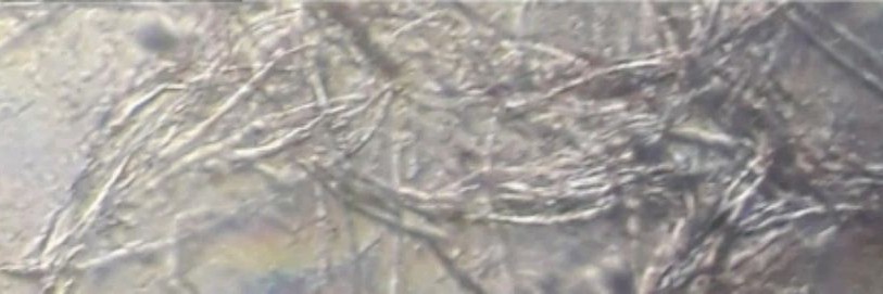 (Не)Важные Файлы