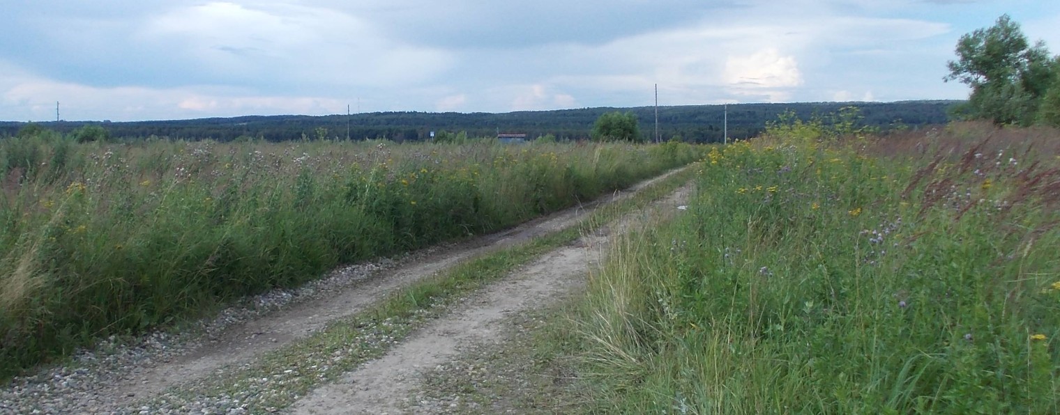 Анастасия З.