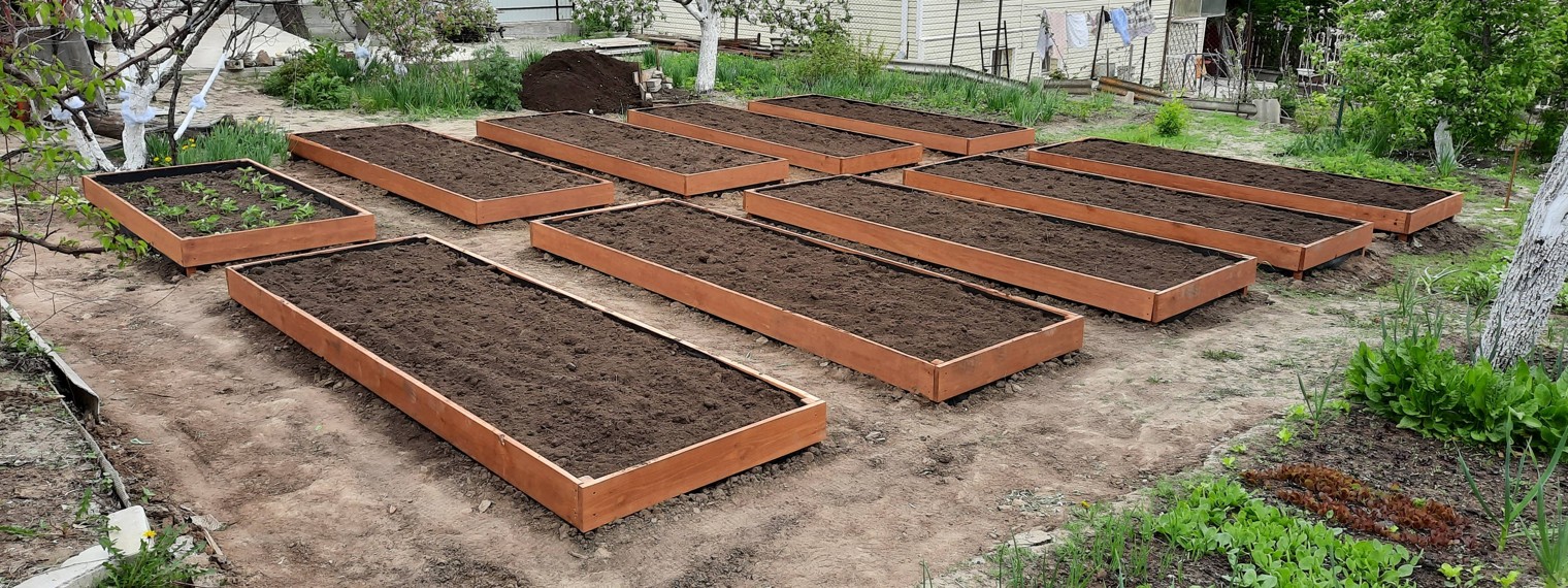 Только вперед