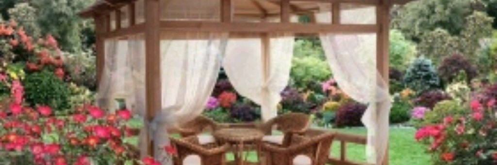 Светлана Козлова