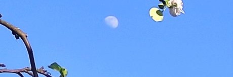 Готовим с recepti_ksu