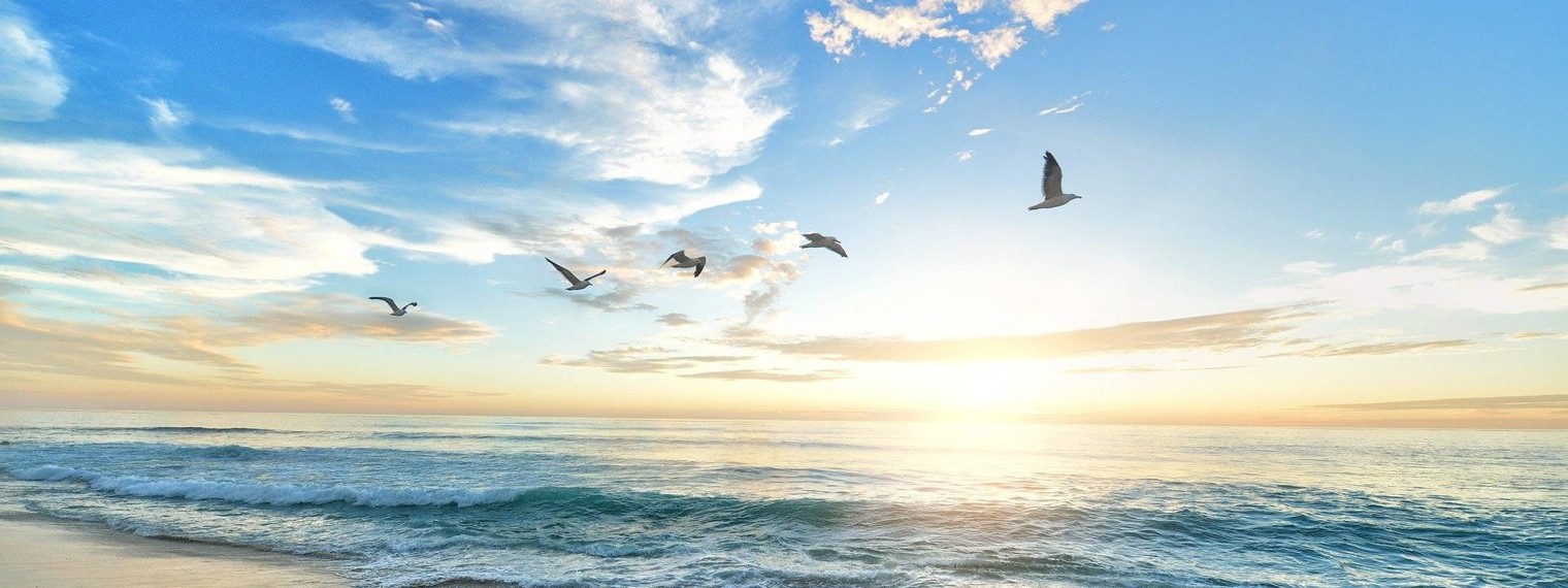 Хобби и увлечения