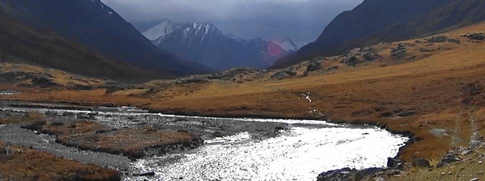 СвойВзгляд