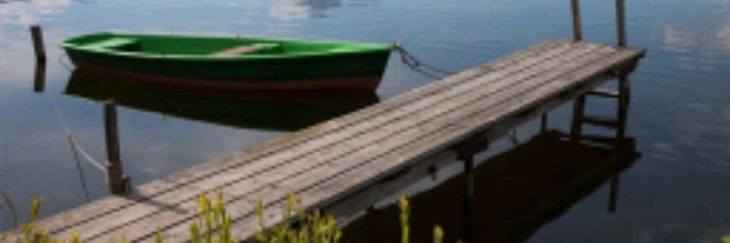 Глазами охотника