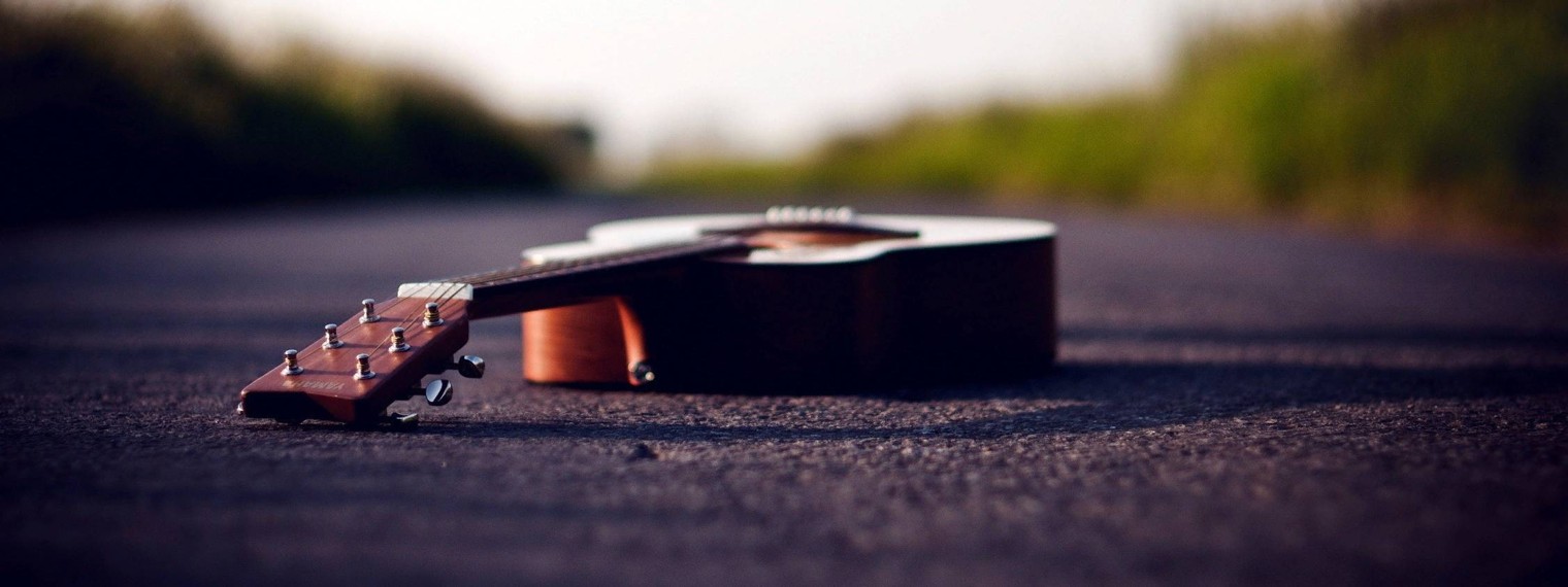 Павлов Евгений  Кавер-исполнитель и музыкант