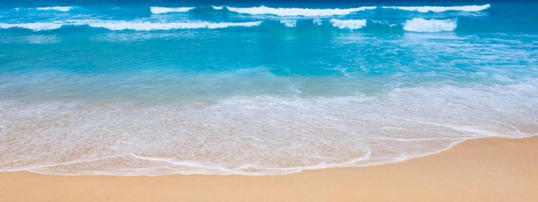 Виноград в Краснодарском крае