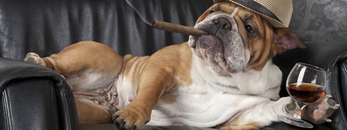 Кураж Бомбей