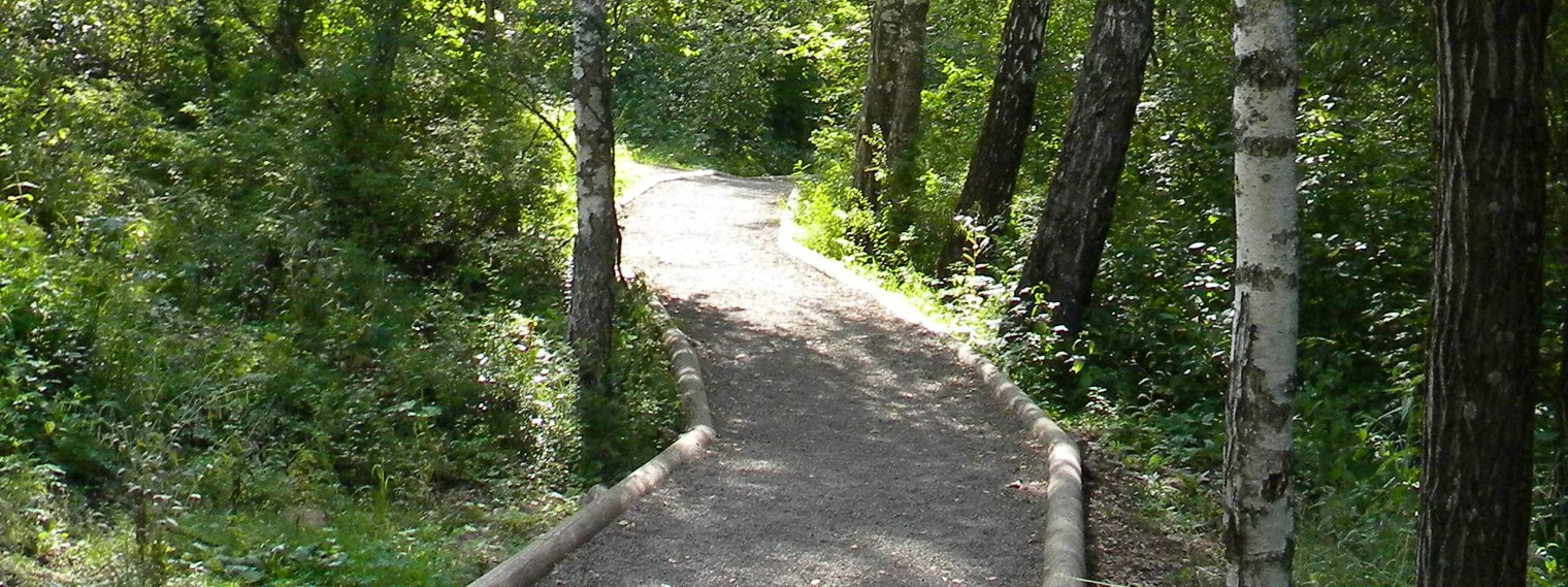 Сам Себе Мастер