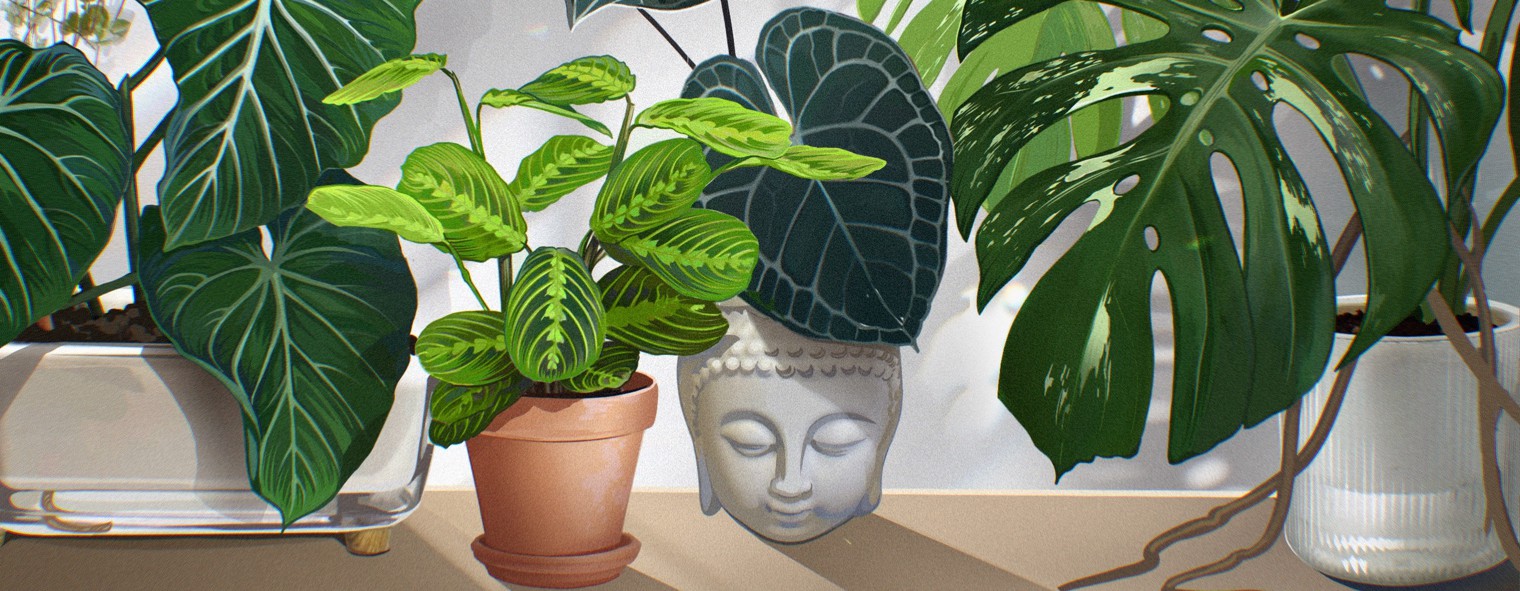 Дашка и её цвяточки 🌱