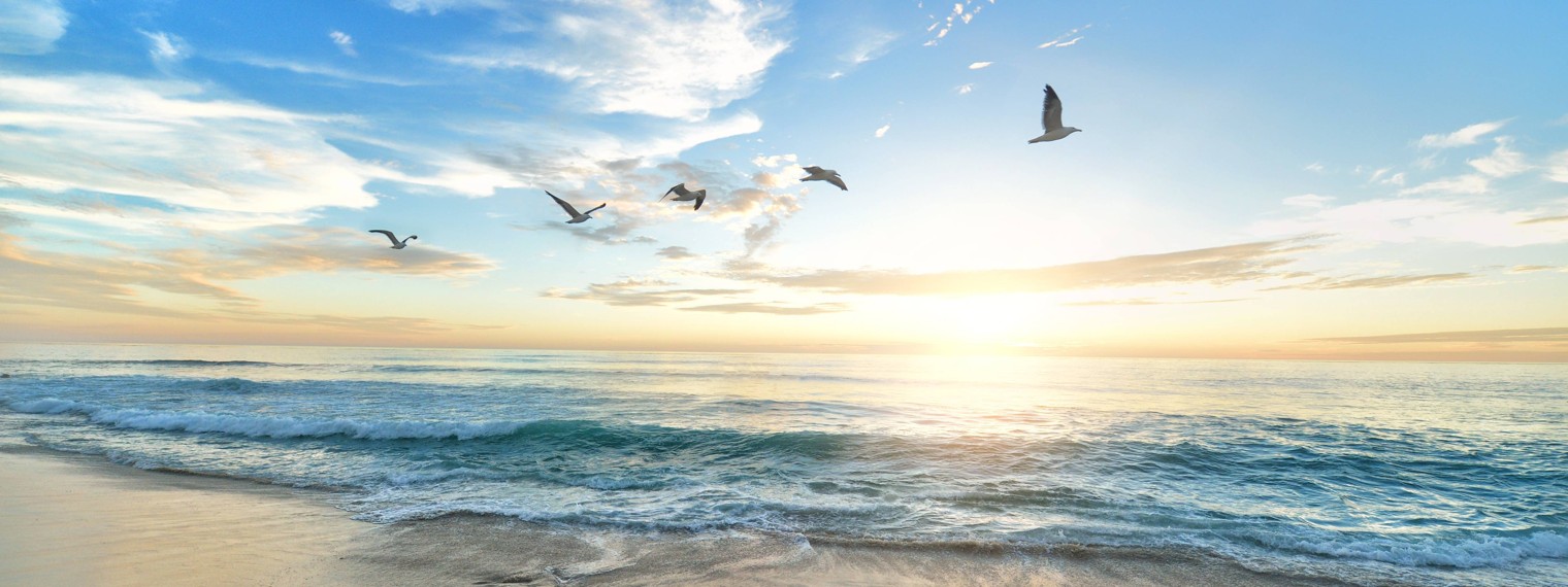 Приморский центр соцобслуживания населения