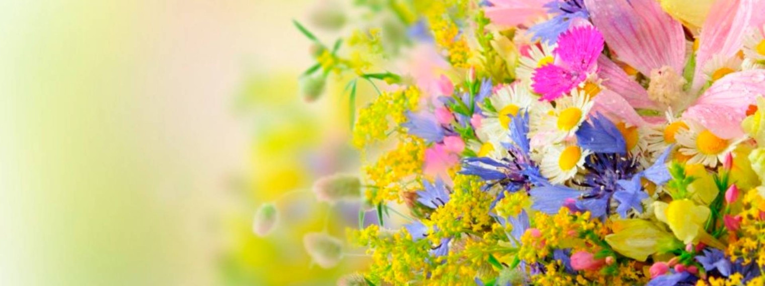 Виктория Геннадиевна Дылева