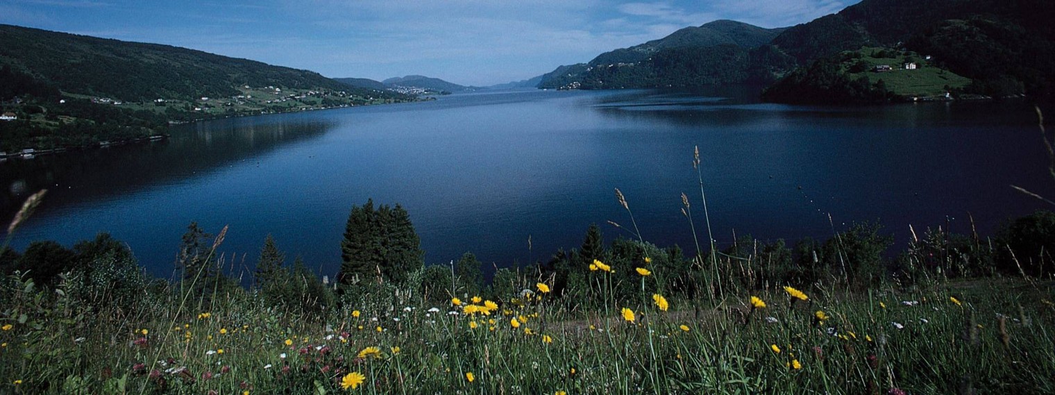 Кинологический центр "ЦЕРБЕР"