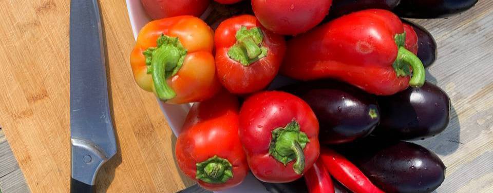 Кухня Бусова