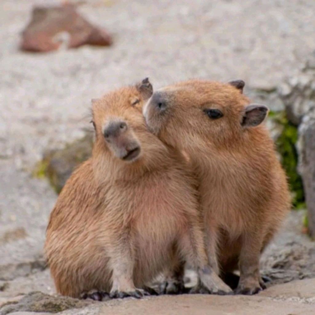 ❤️?БУМАЖНАЯ МЕЧТА?❤️