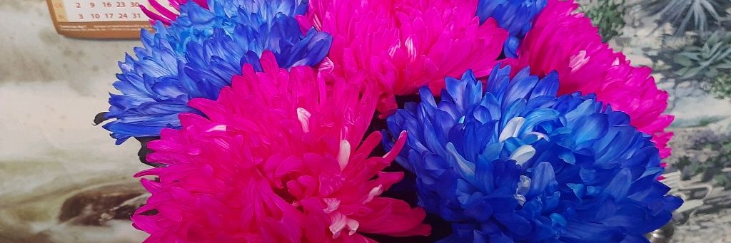 Ирина Подгорская