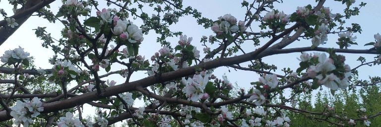 Тишина внутри