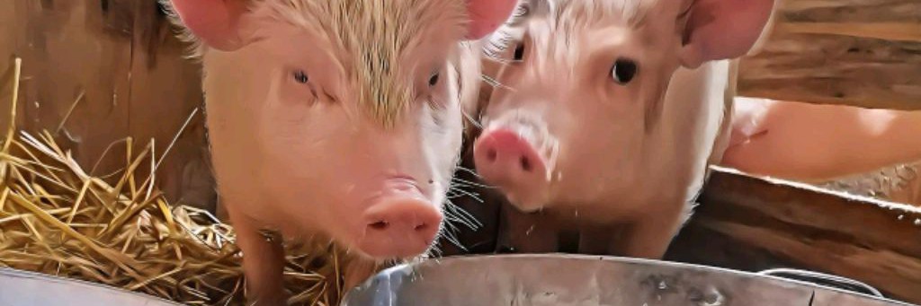 Деревенская жизнь