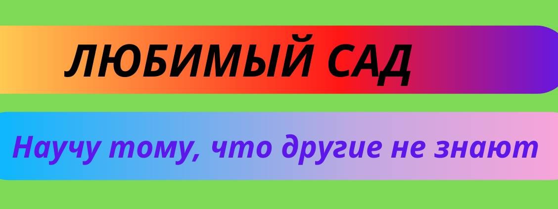 ЛЮБИМЫЙ САД и здоровье