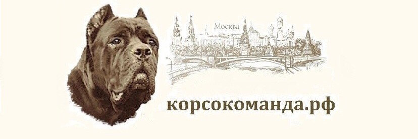 КОРСО-КОМАНДА - помощь кане корсо попавшим в беду