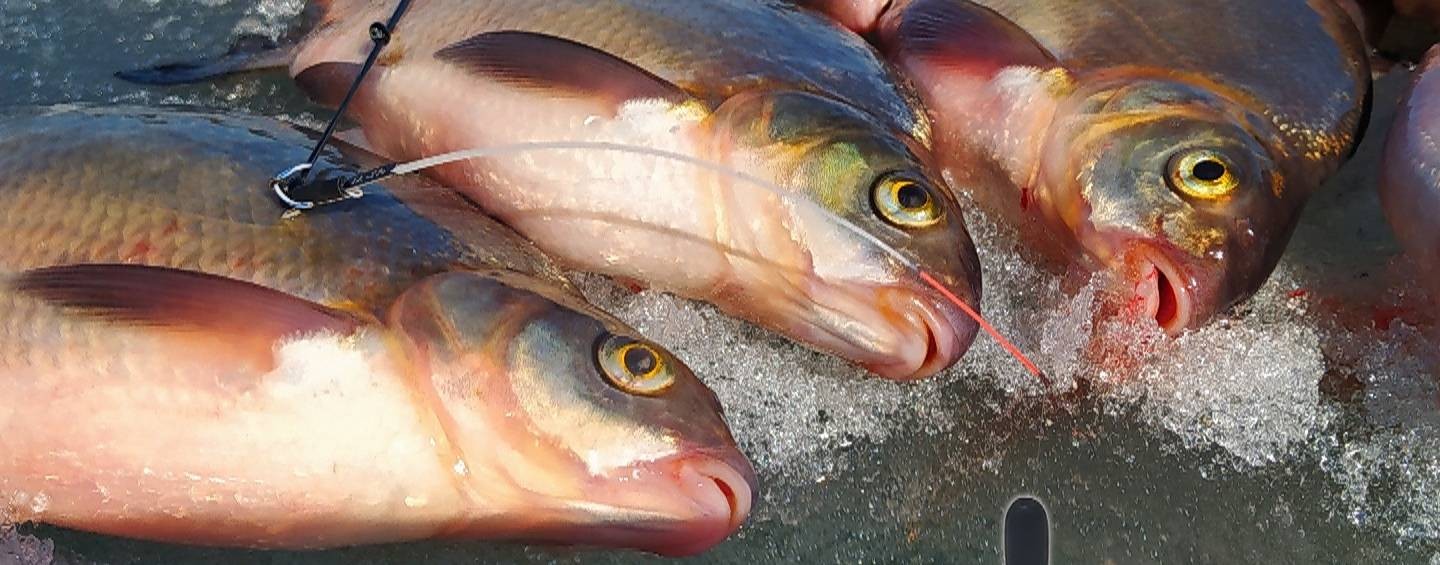 Юрий Стенников