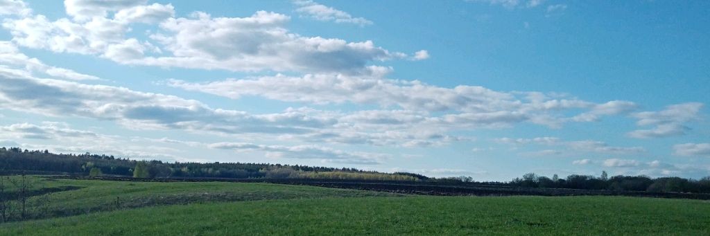 Творческая мастерская "Тридевятое королевство"