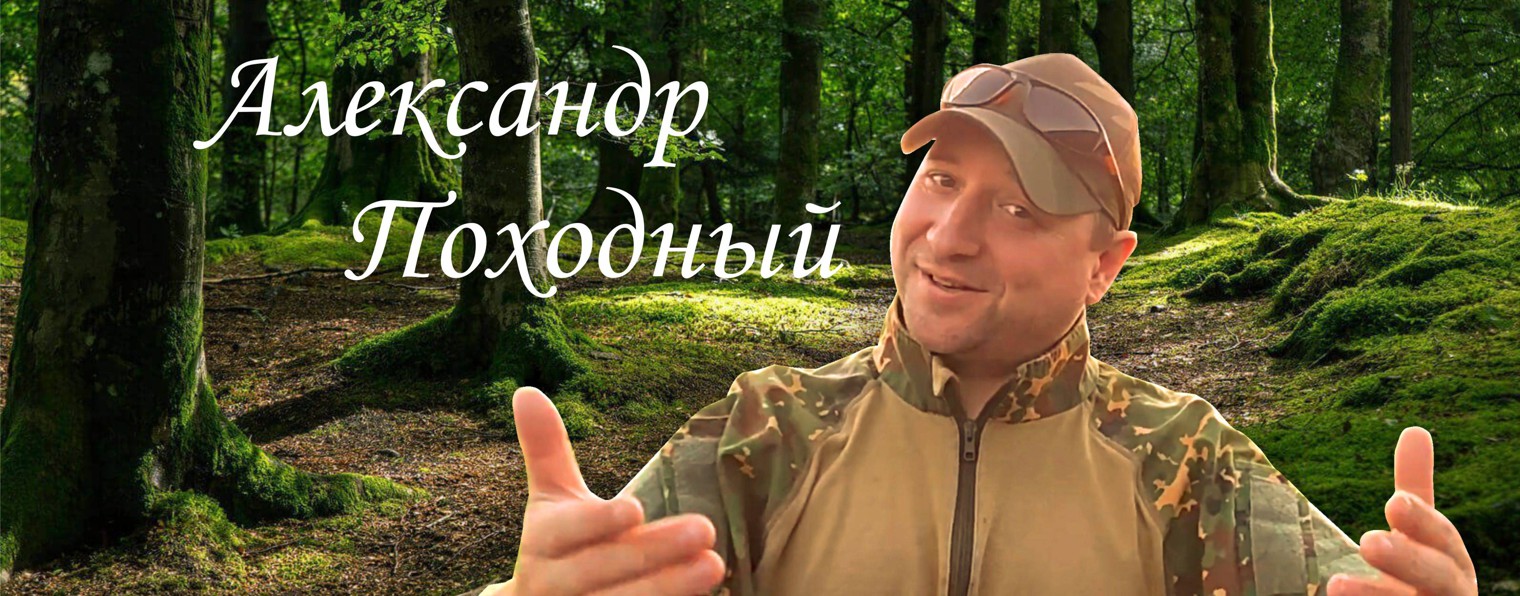 Александр Походный