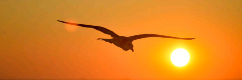 ТОЛЬКО СЕГОДНЯ