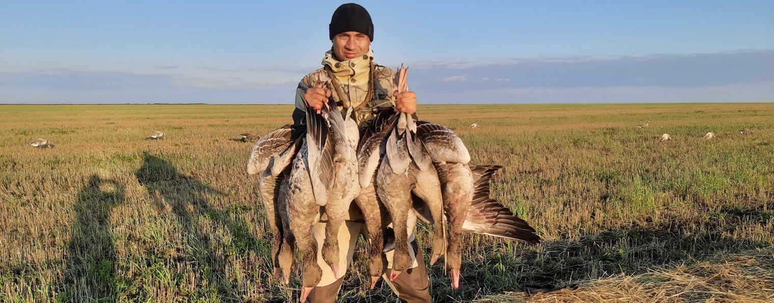 Александр Дружинин