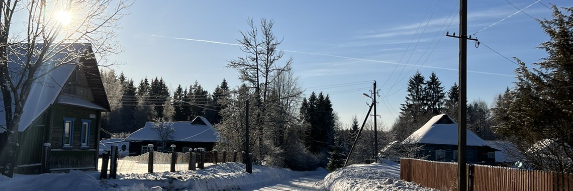 От грядки до крыши: дом, дача, сад и огород