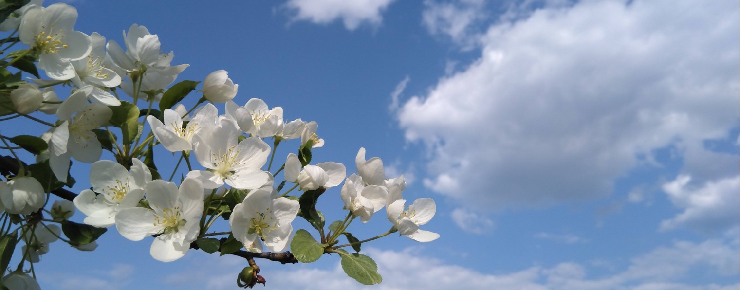 Татьяна Кузьмина