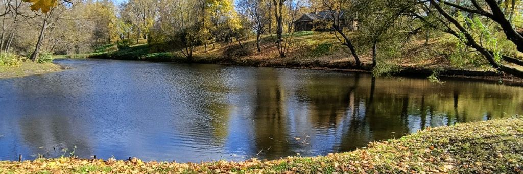 Метод решения проблем