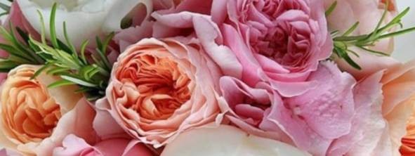 золотые ручки