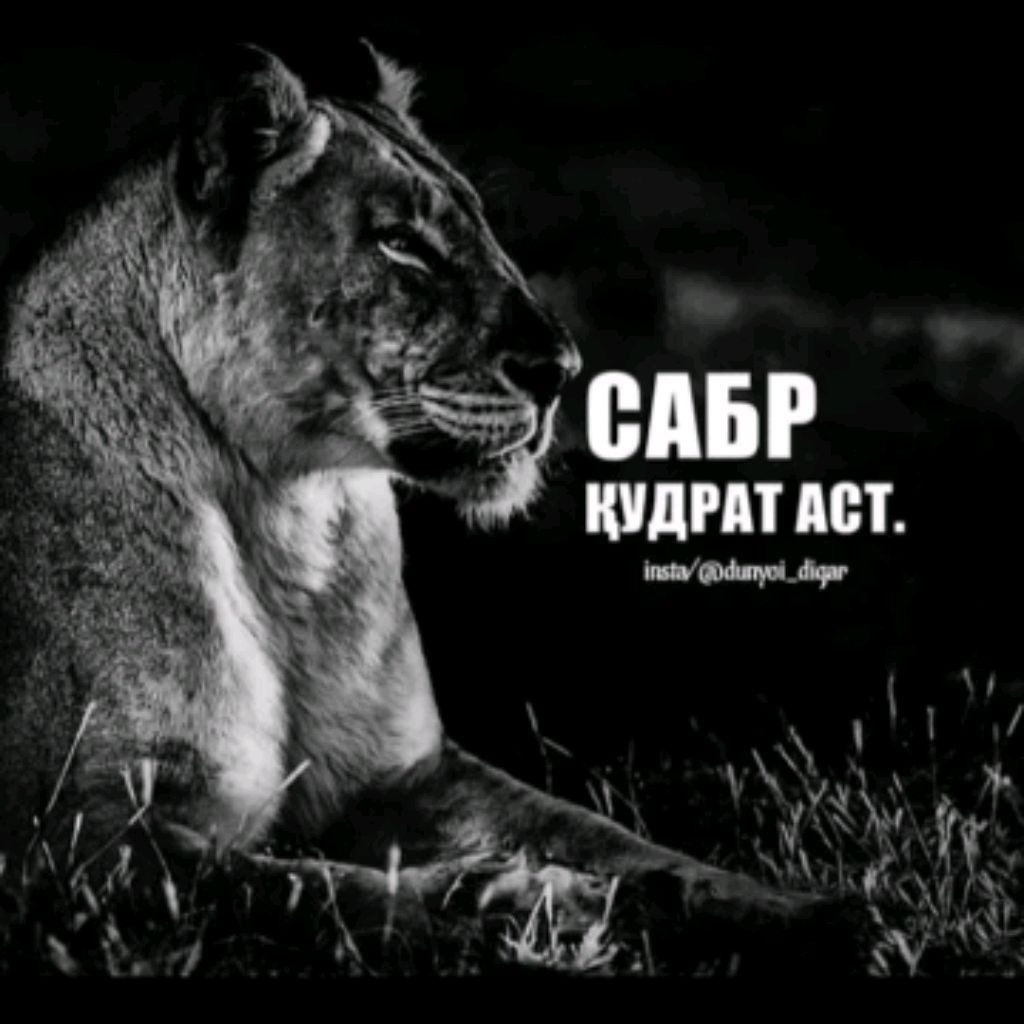 Прикол + смеха