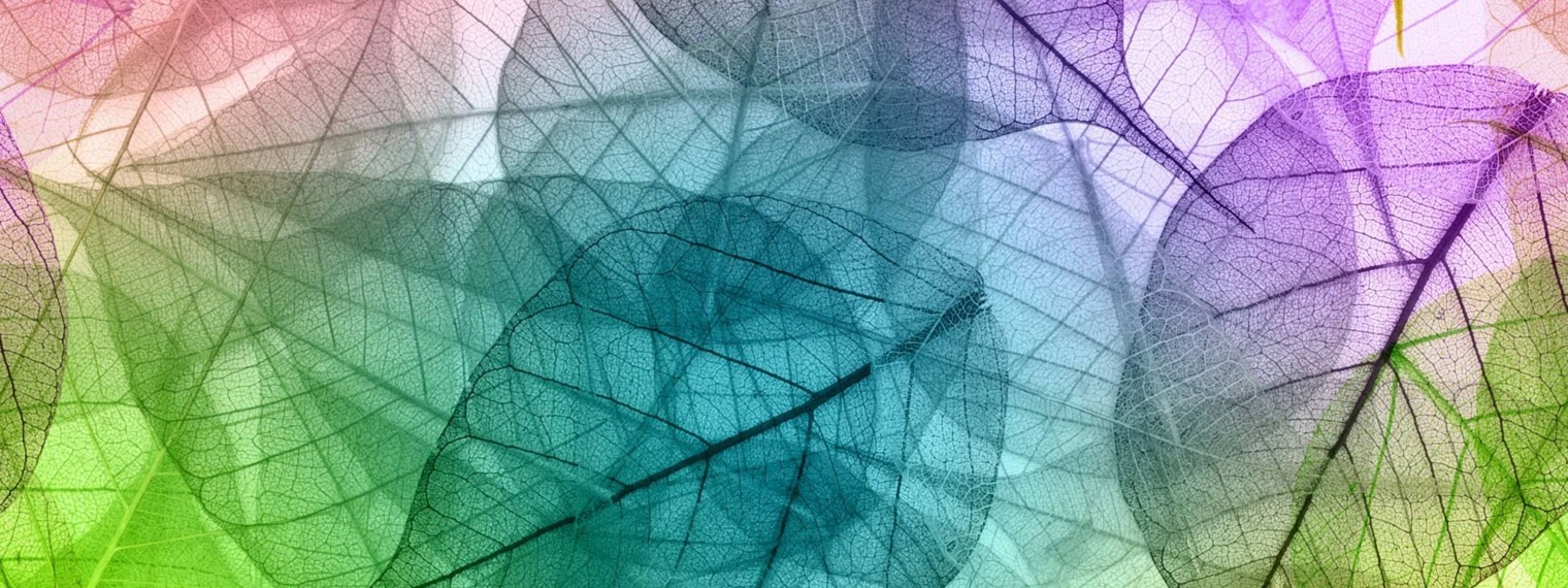 Екатерина Карпова