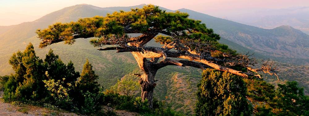 Ольга Архипова. Крым глазами пенсионерки.
