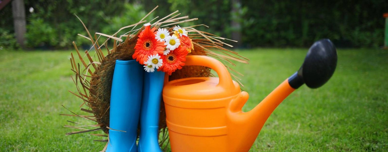 ДАЧА - САД - ОГОРОД