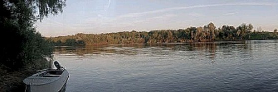 Львиное Сердце