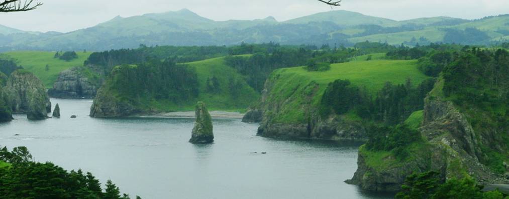 Миссис Шикотан