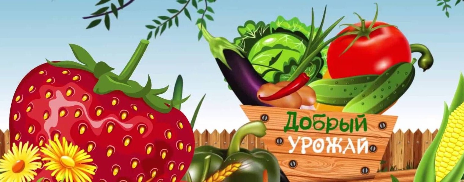 Сад огород и пчёлы