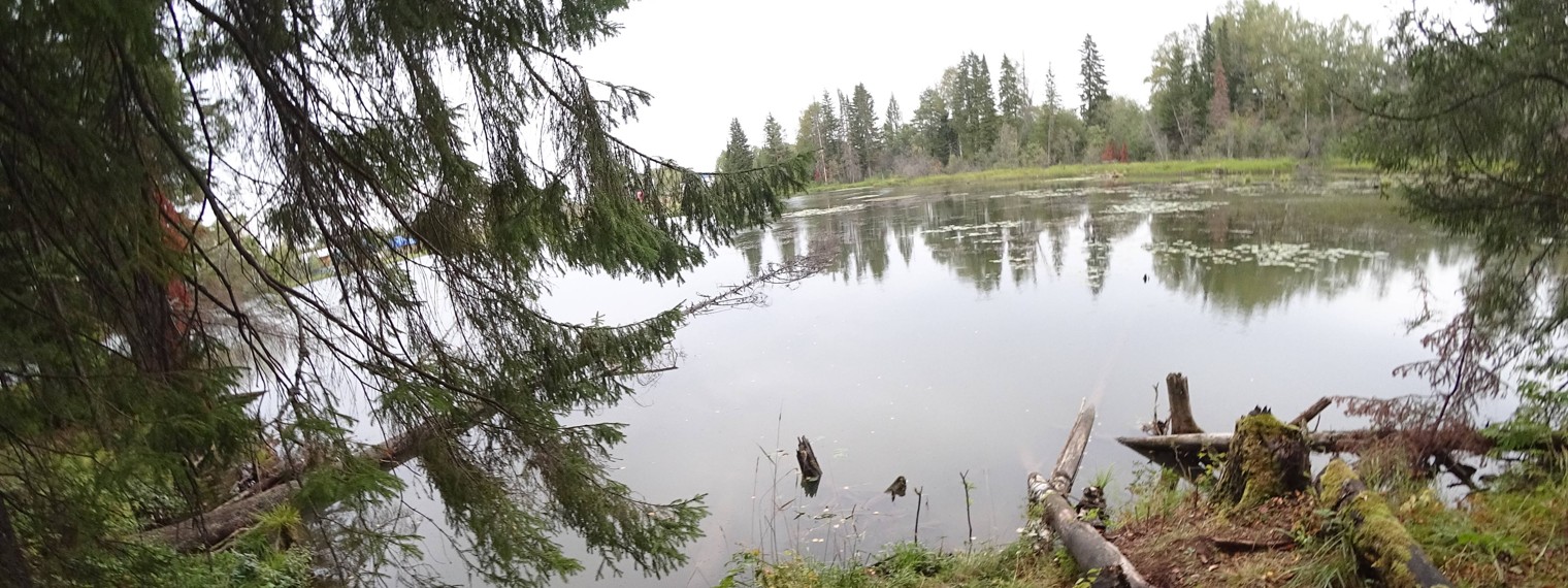 Дмитрий Драпатый