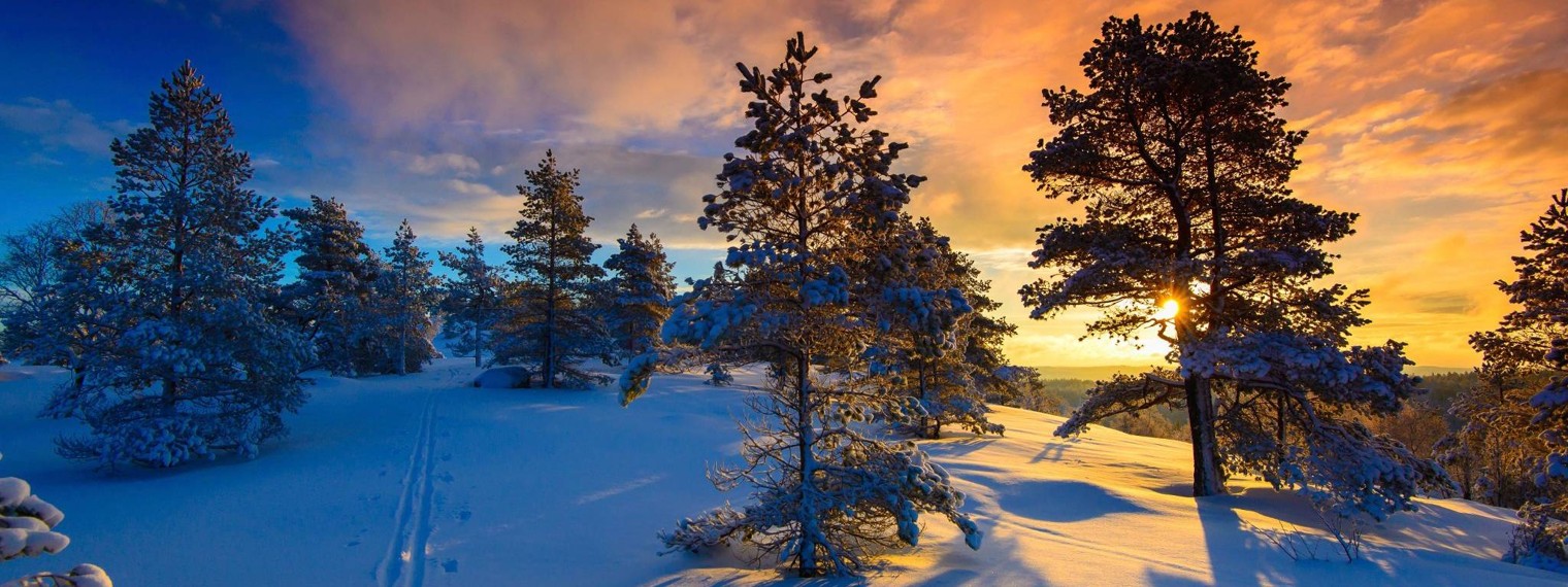 Алексей Смирнов