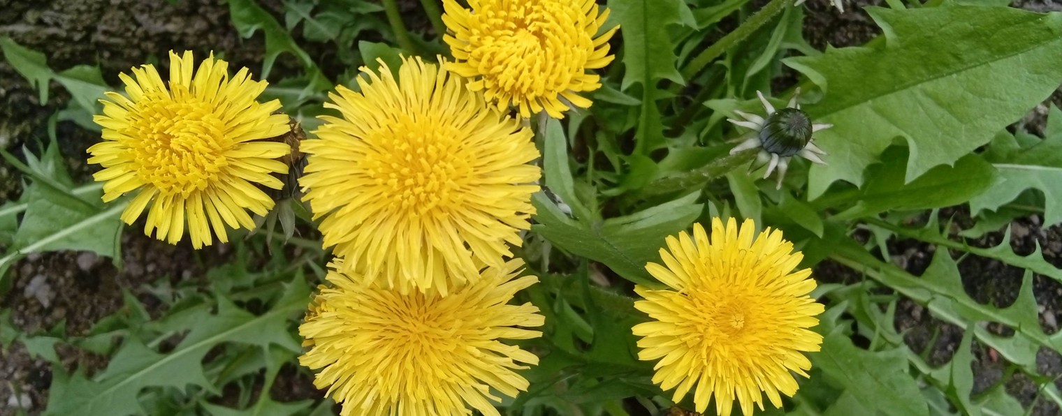 АТМОСФЕРА ДЛЯ ДУШИ. Видео и звуки природы.