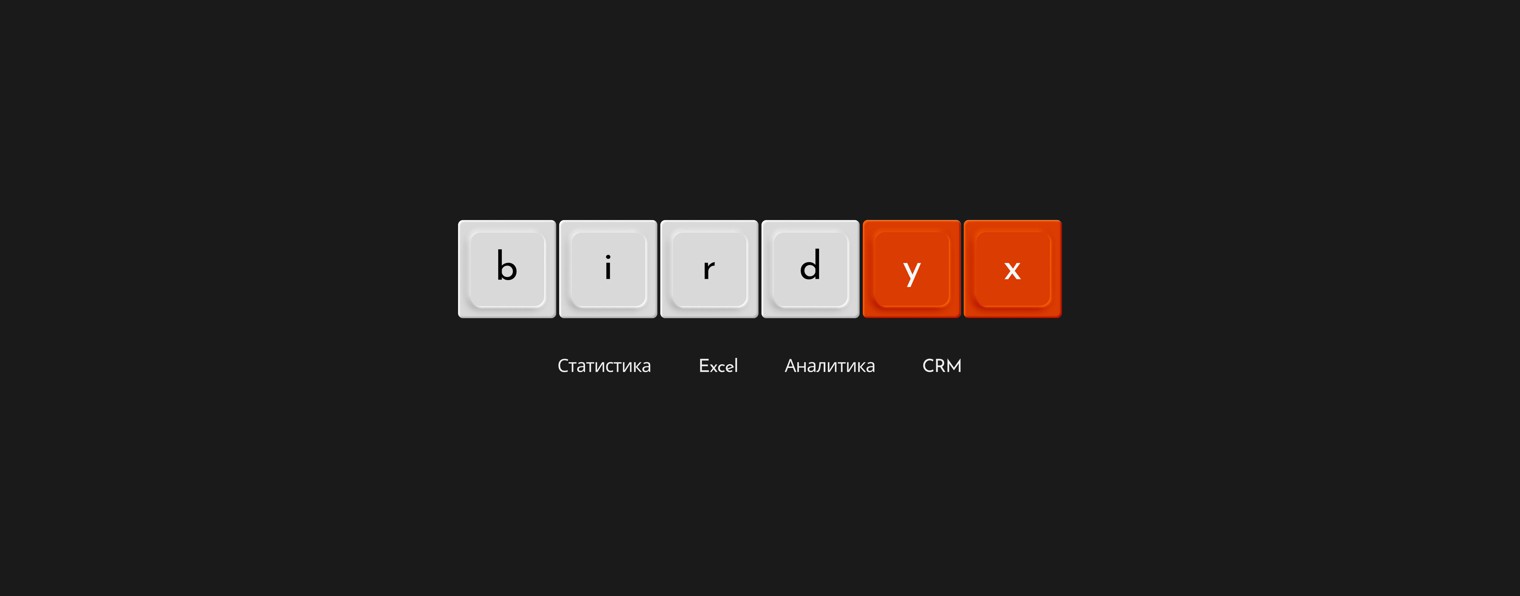 Birdyx. Excel и Google таблицы для бизнеса