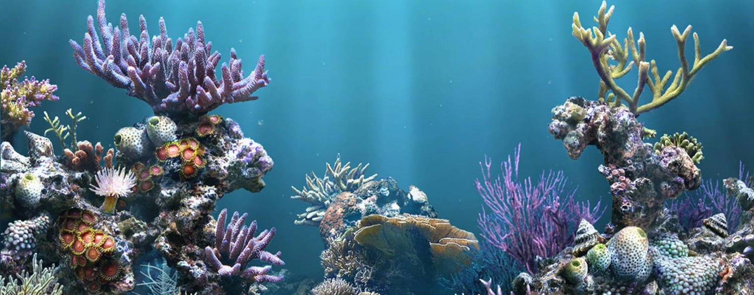 Волшебный Подводный Мир