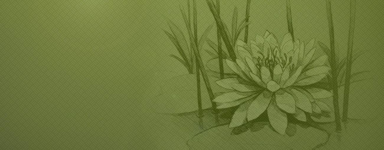 Angel & Co - Студия красоты и коррекции фигуры