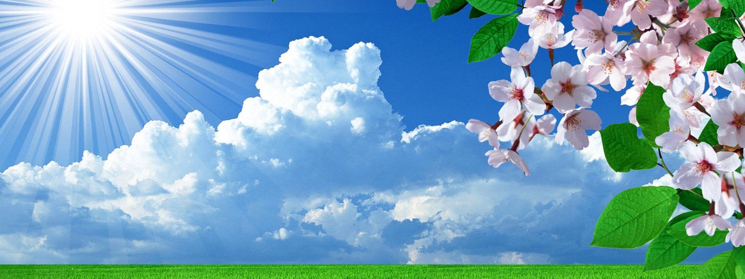 Красивые танцы и песни, рассказы, стихи, юмор!