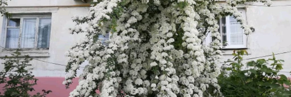 ГАЛИНА. ГОТОВИМ ВМЕСТЕ.