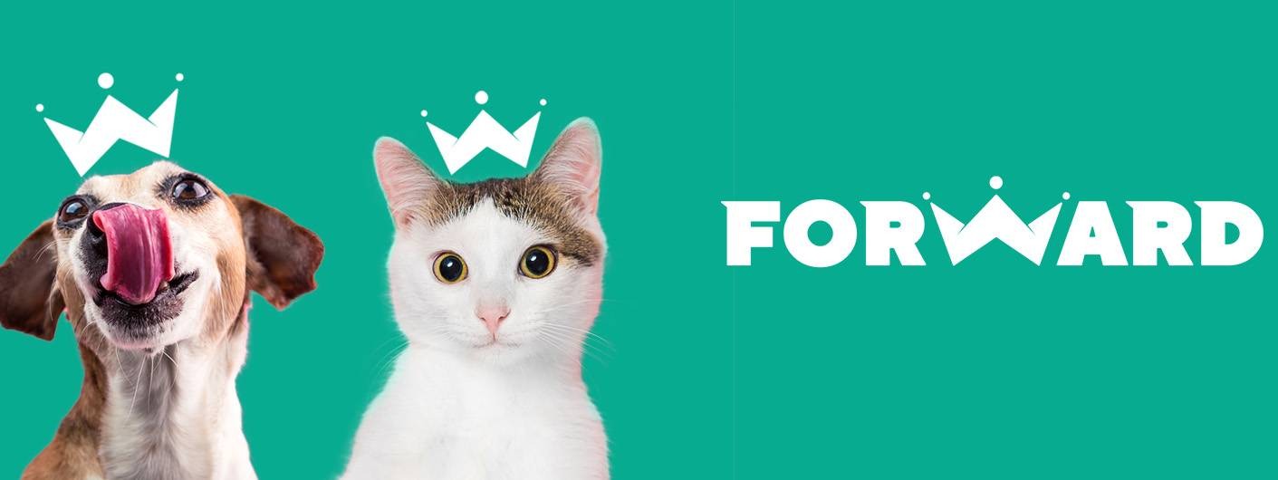 Сухой корм FORWARD